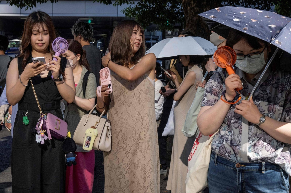 japantimes.co.jp - the/brain/bin